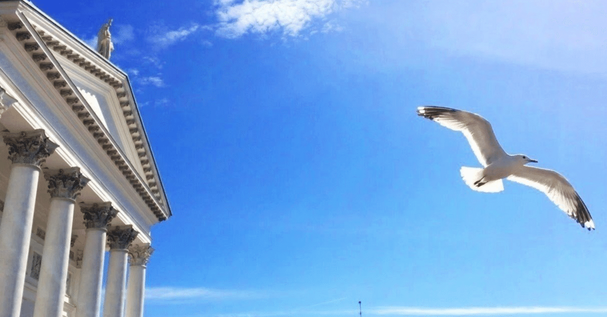 海外駐在で学んだ「人事を尽くして天命を待つ」ことの大切さが、保険営業に役に立った話｜Keisuke@海外駐在経験フルコミFP