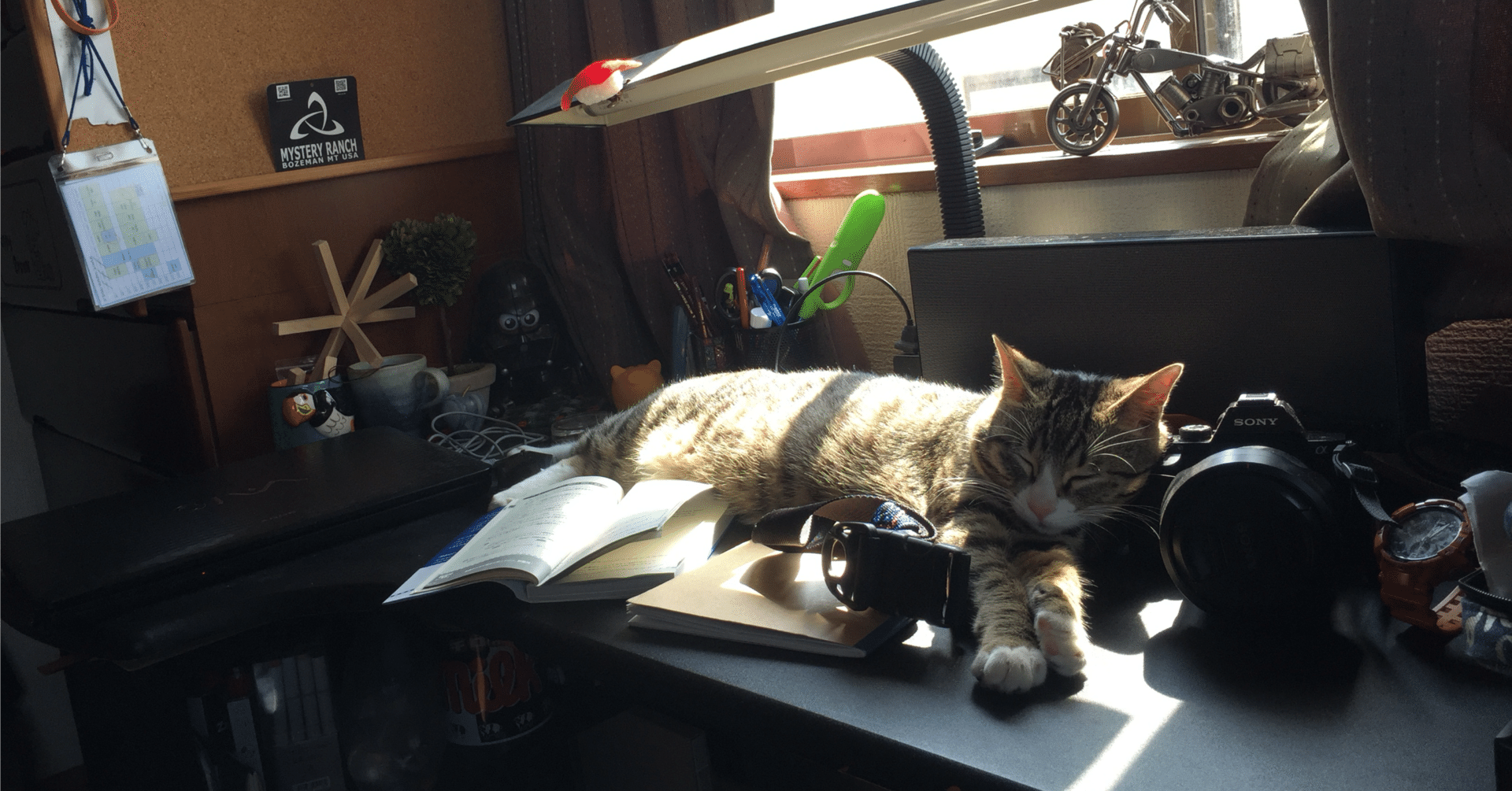 yosuke kimura | ステンドグラス作家｜note