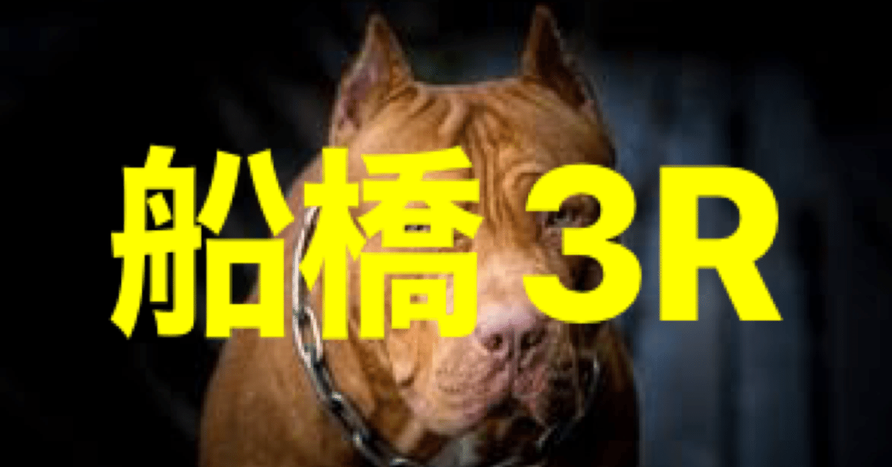 船橋3R revenge！｜パドック師匠【PD master】公式🌐