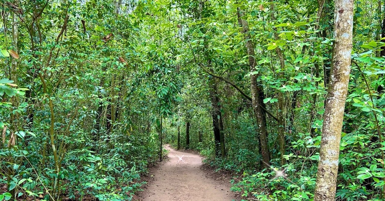 【詩】知らない｜ayano_leizei 冷泉あやの