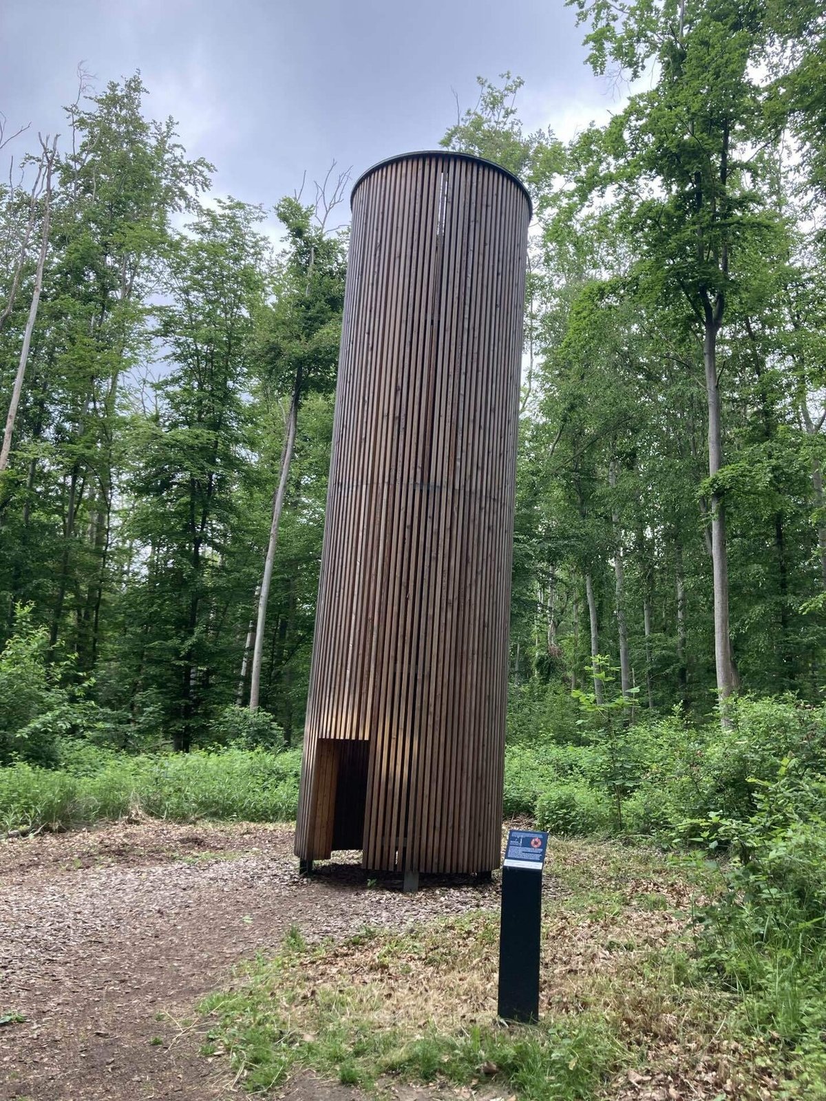 【ドイツ】ネブラ・ディスクの出土地に行ってみた話｜Sena MATSUI@ドイツ滞在終了