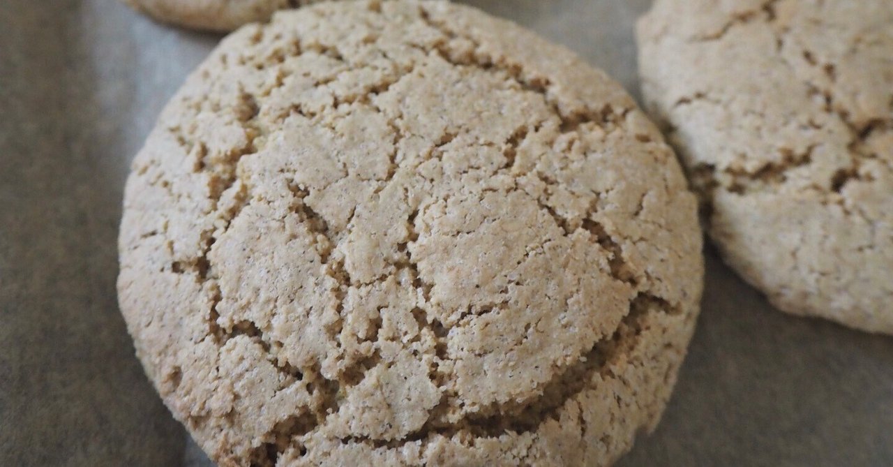 イヤイヤ気の正しい乗り越え方、まずは主張を受け止める｜Risa.K