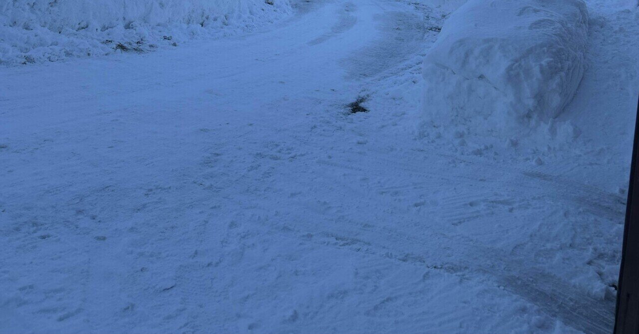 エレクトロ＋ロックの新しいジャンルを作ろうとした。｜RYOTA RAYSQUALL