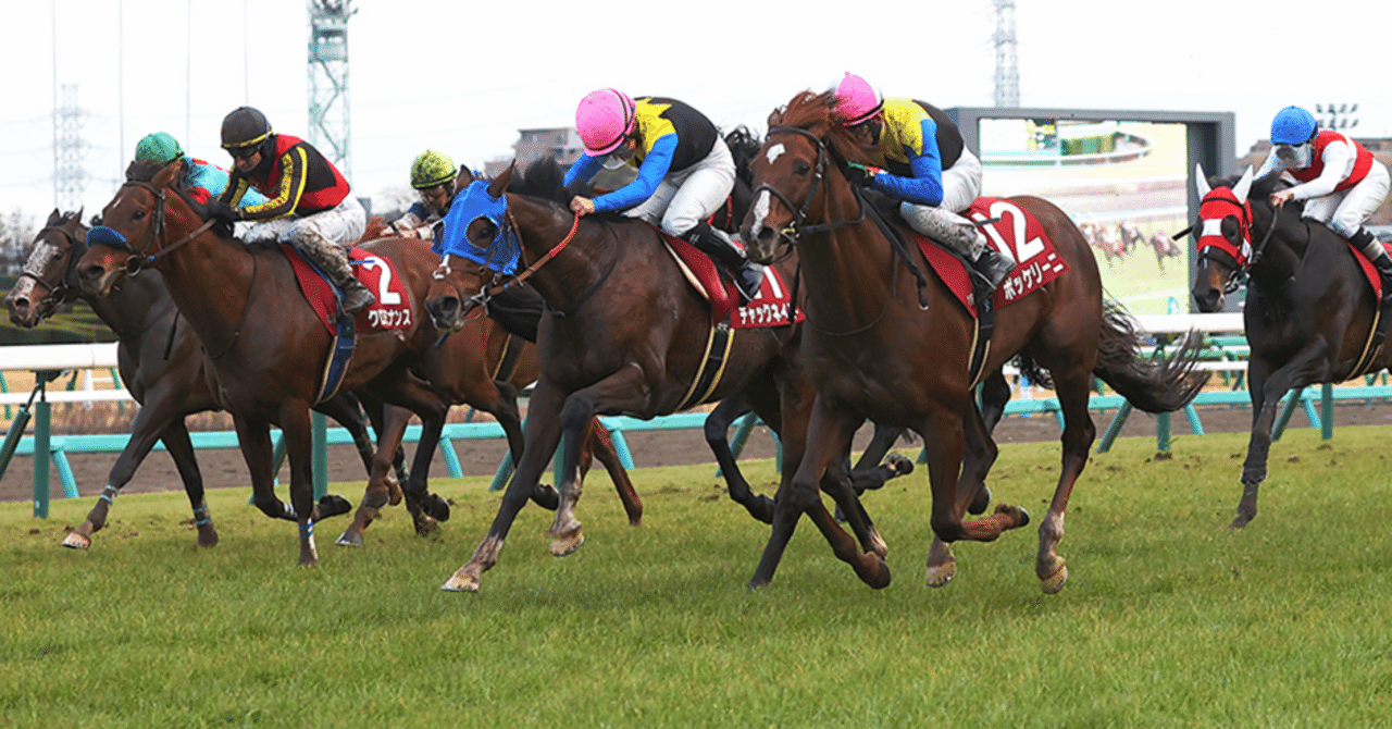 🇺🇸 G2 AJCC2025 全頭診断 🇺🇸｜玲音覇愛兎