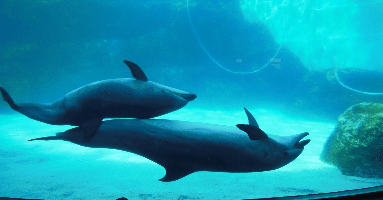 Dallena y Belfín｜こたろん