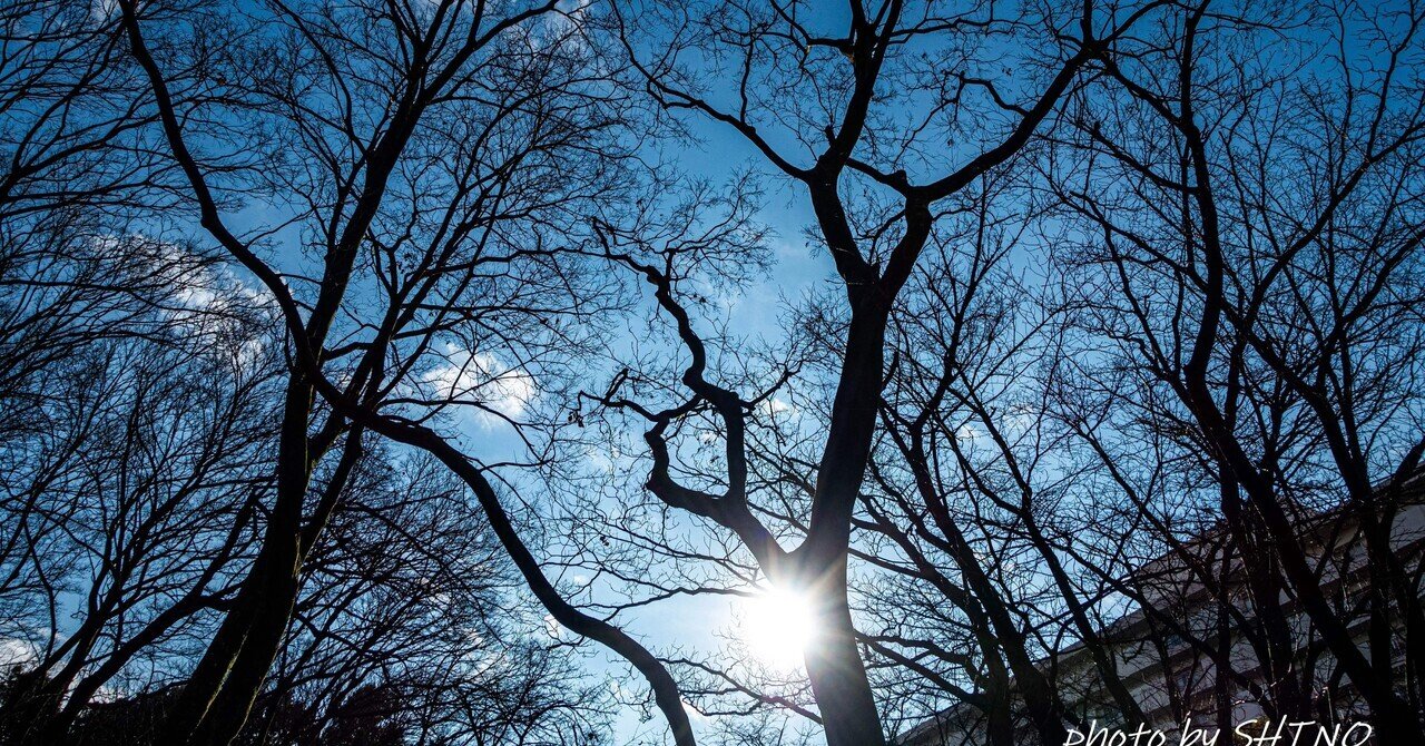 軽貨物ドライバーの質｜Yasuhiro Shiga