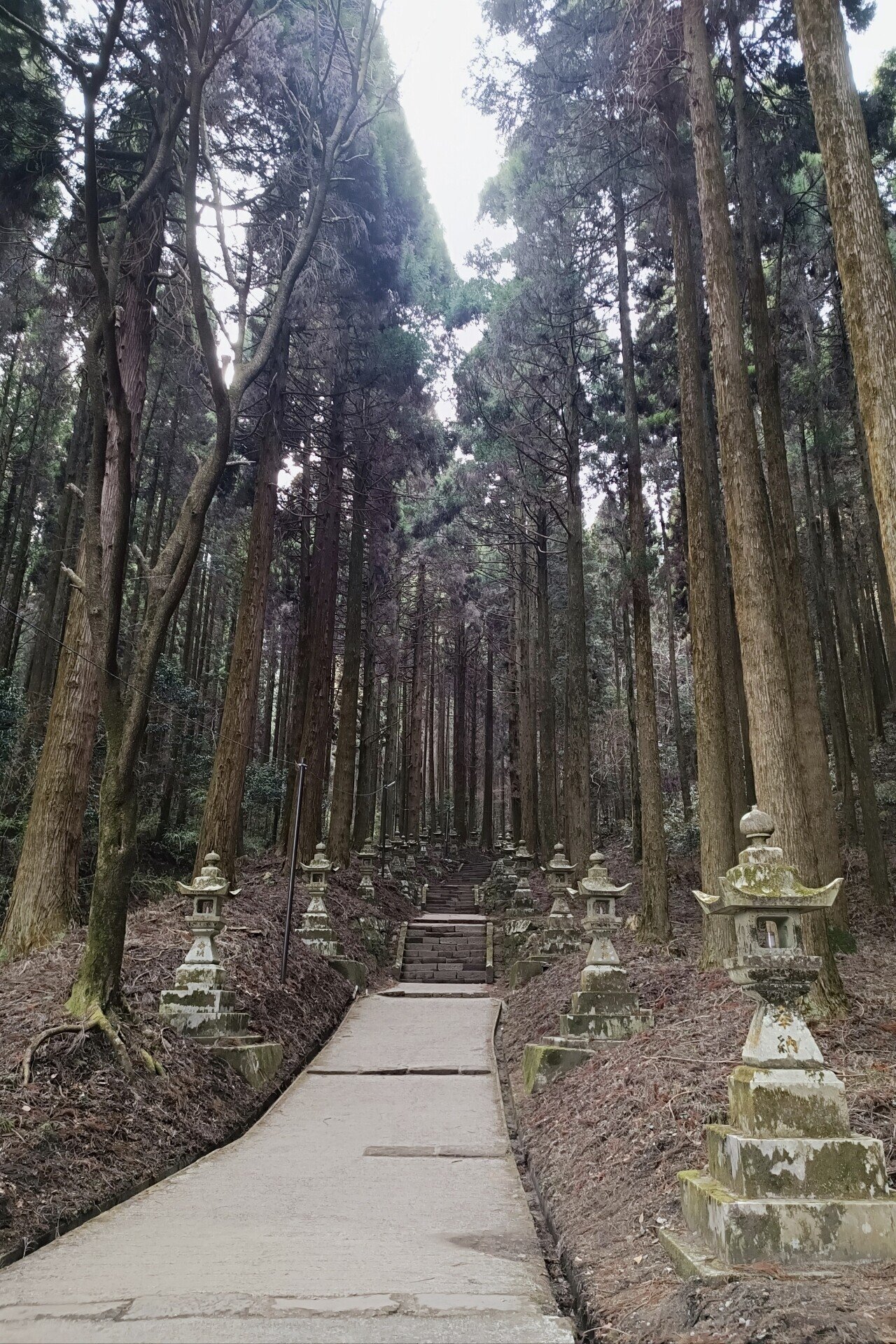 神頼み…｜sora_purecolor