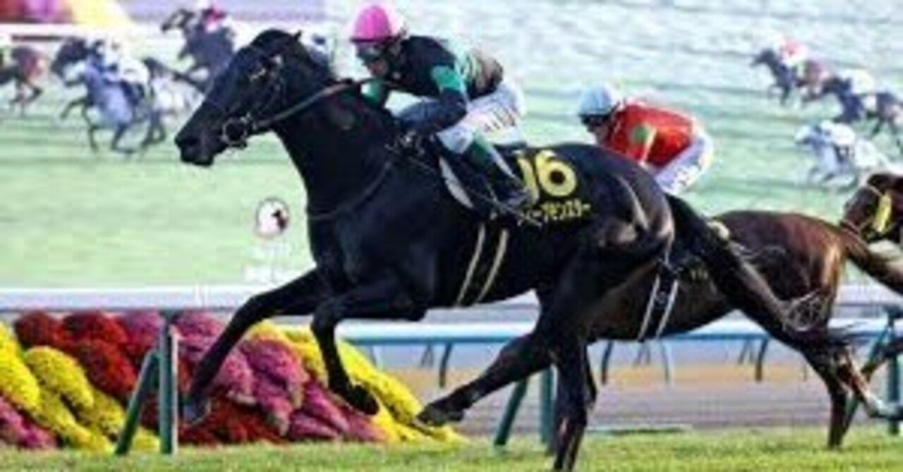 2025年 AJCC・プロキオンS 予想｜3104