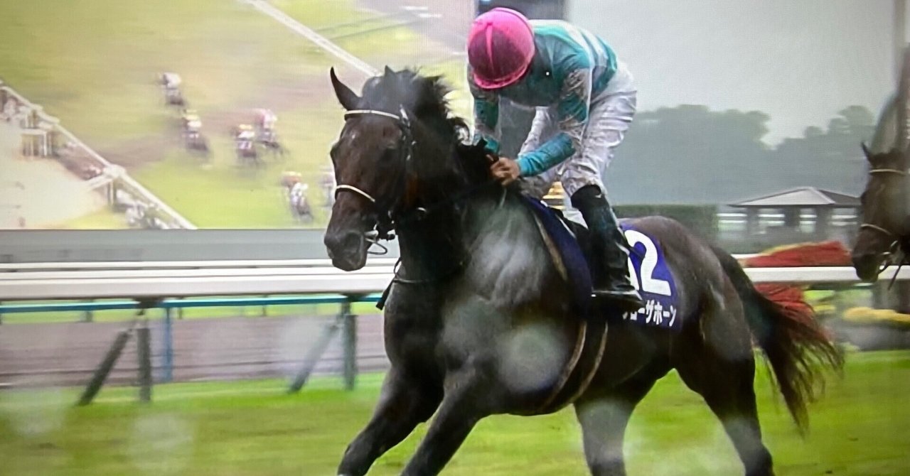 25.1.26 AJCC(GⅡ) 中山競馬場 芝2200m 4歳以上オープン(別定戦)｜さゆほろり