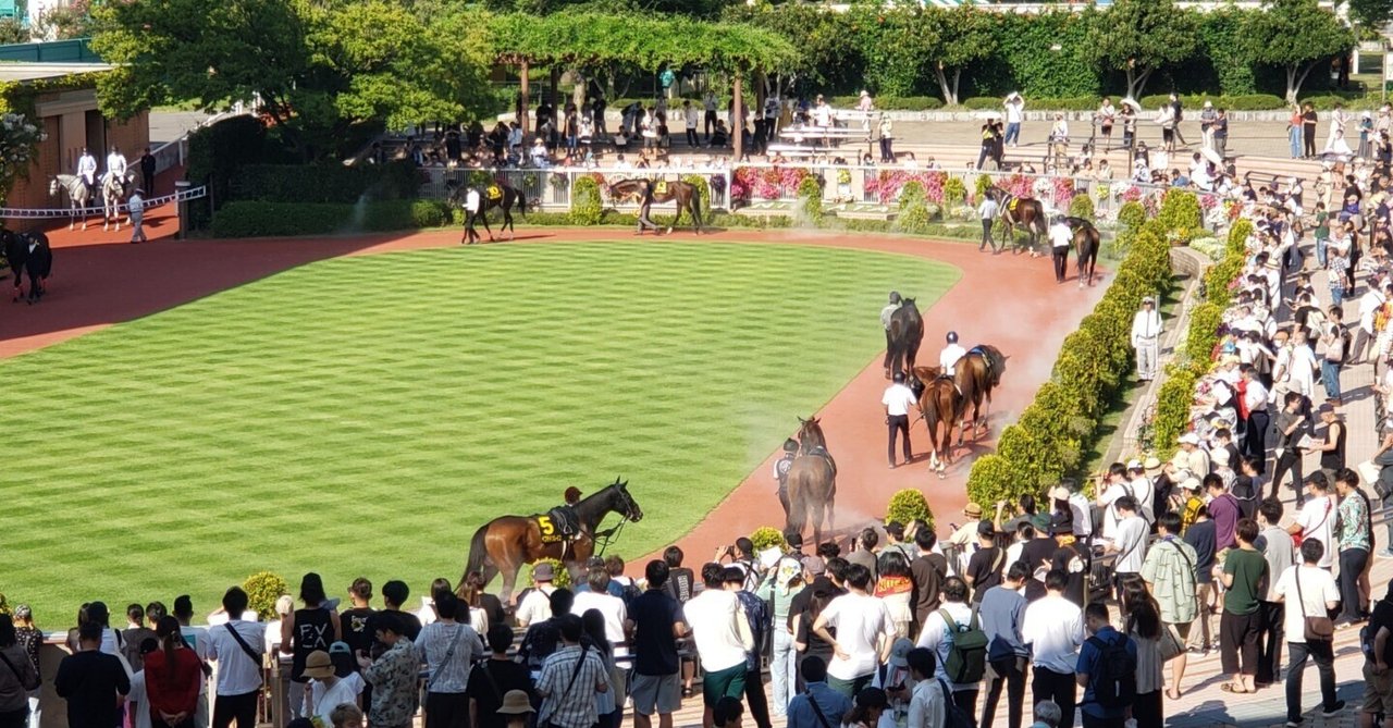 25/1/26 AJCC他｜ホシグマ(仮)