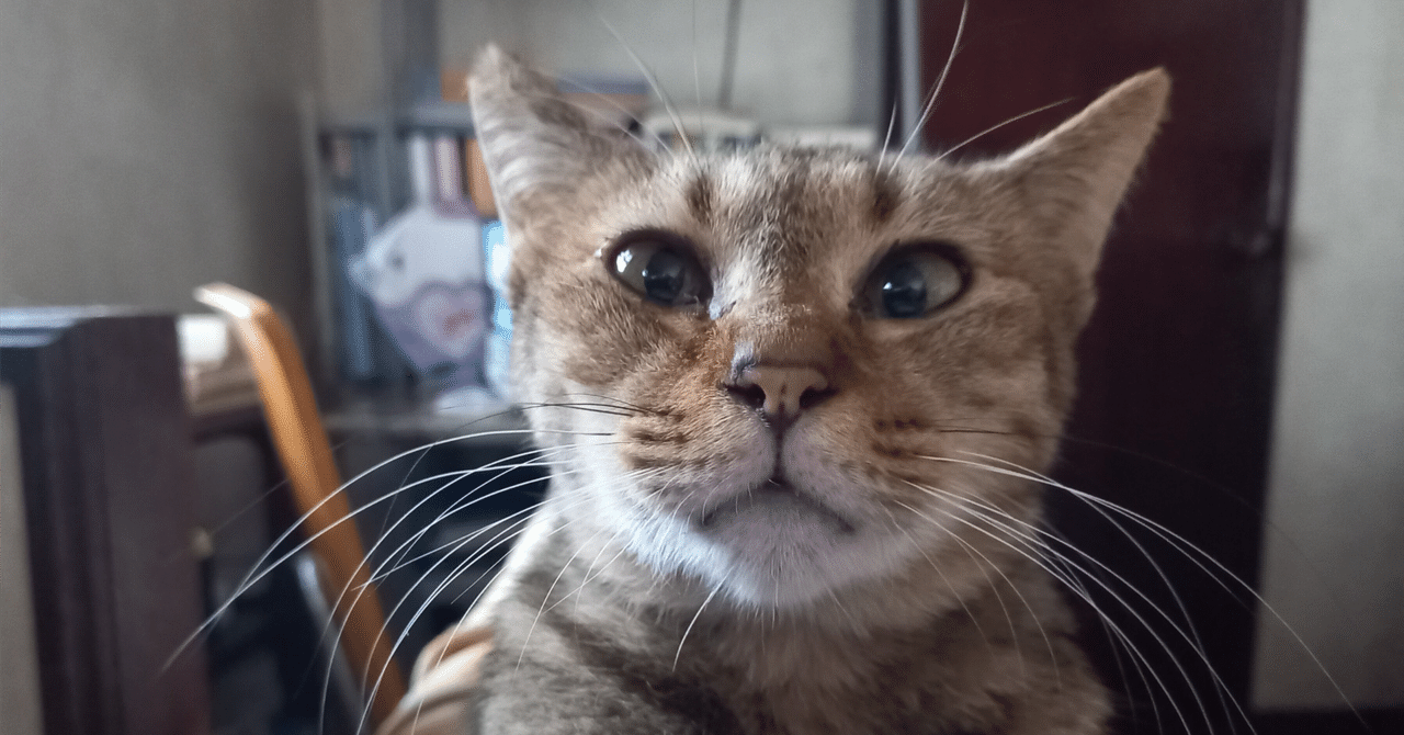 モーさんのマイーナー作曲家発掘体験録vol.1｜Moosan