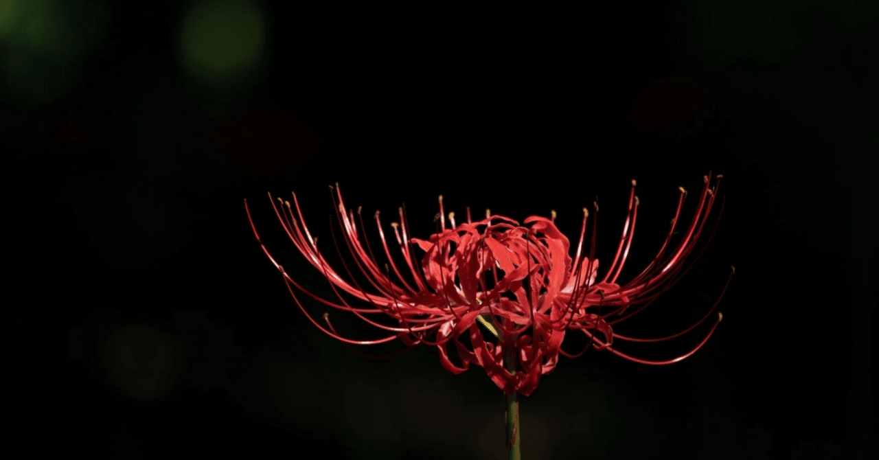 頬を伝った涙は地獄の味がした。｜Gifted なJK フォロバ100@学生note部