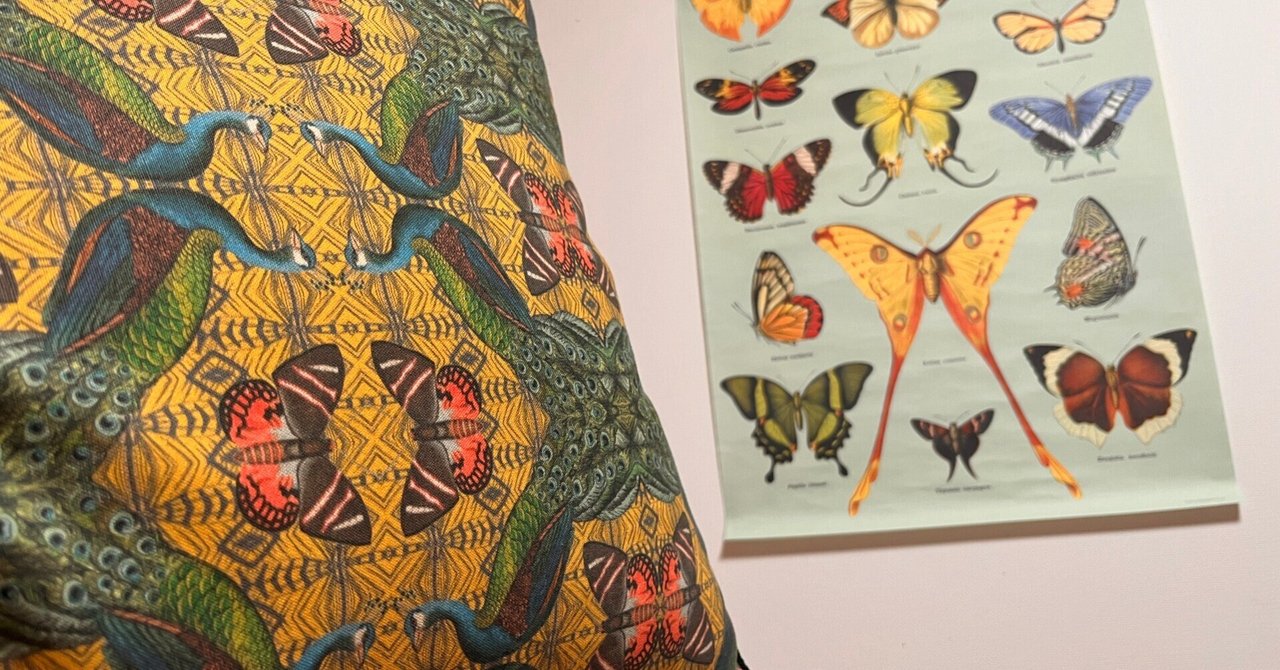 SUPER BRAT｜SWEET COOKIE