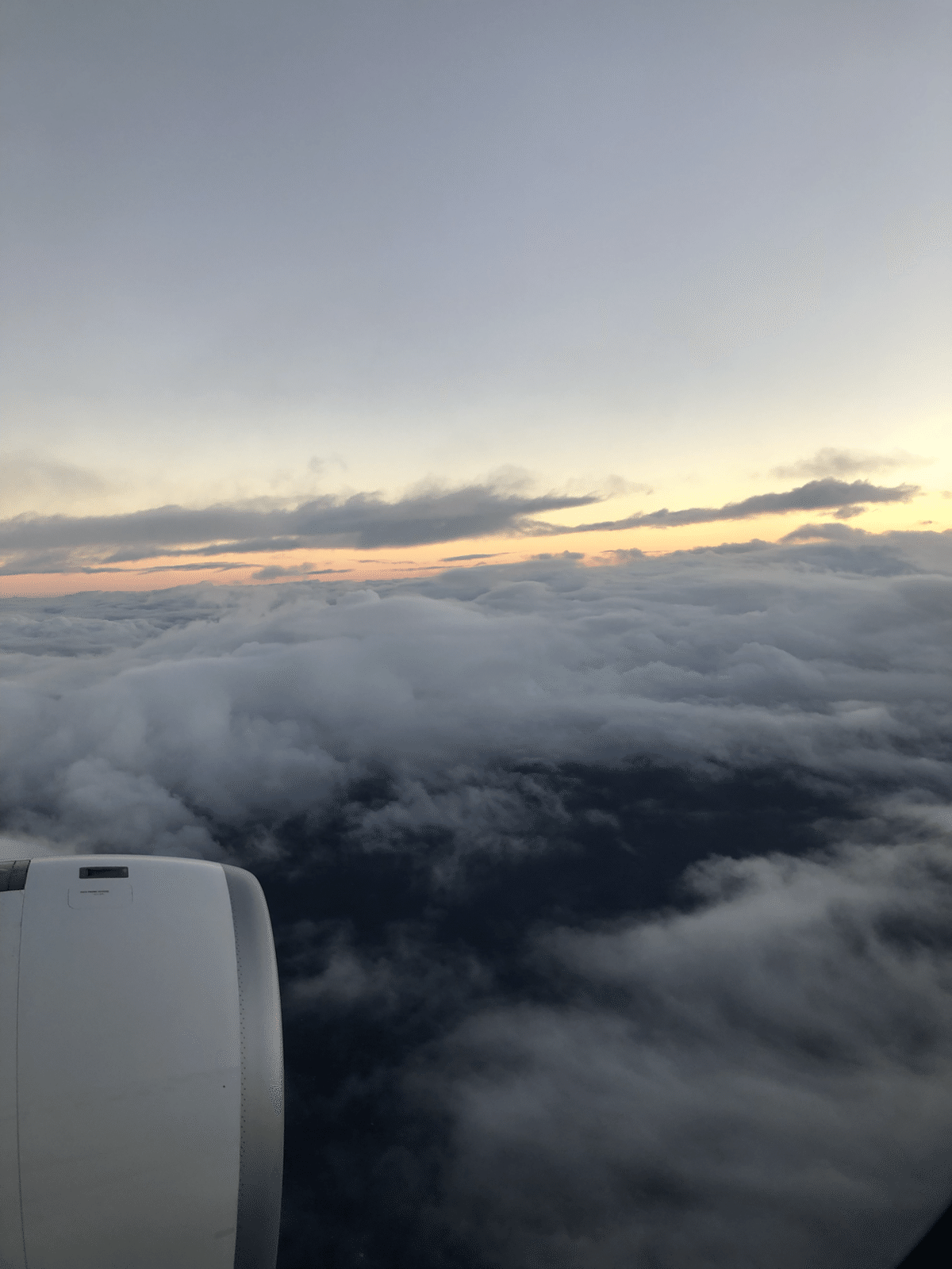 【旅日記】ハワイ｜nemu