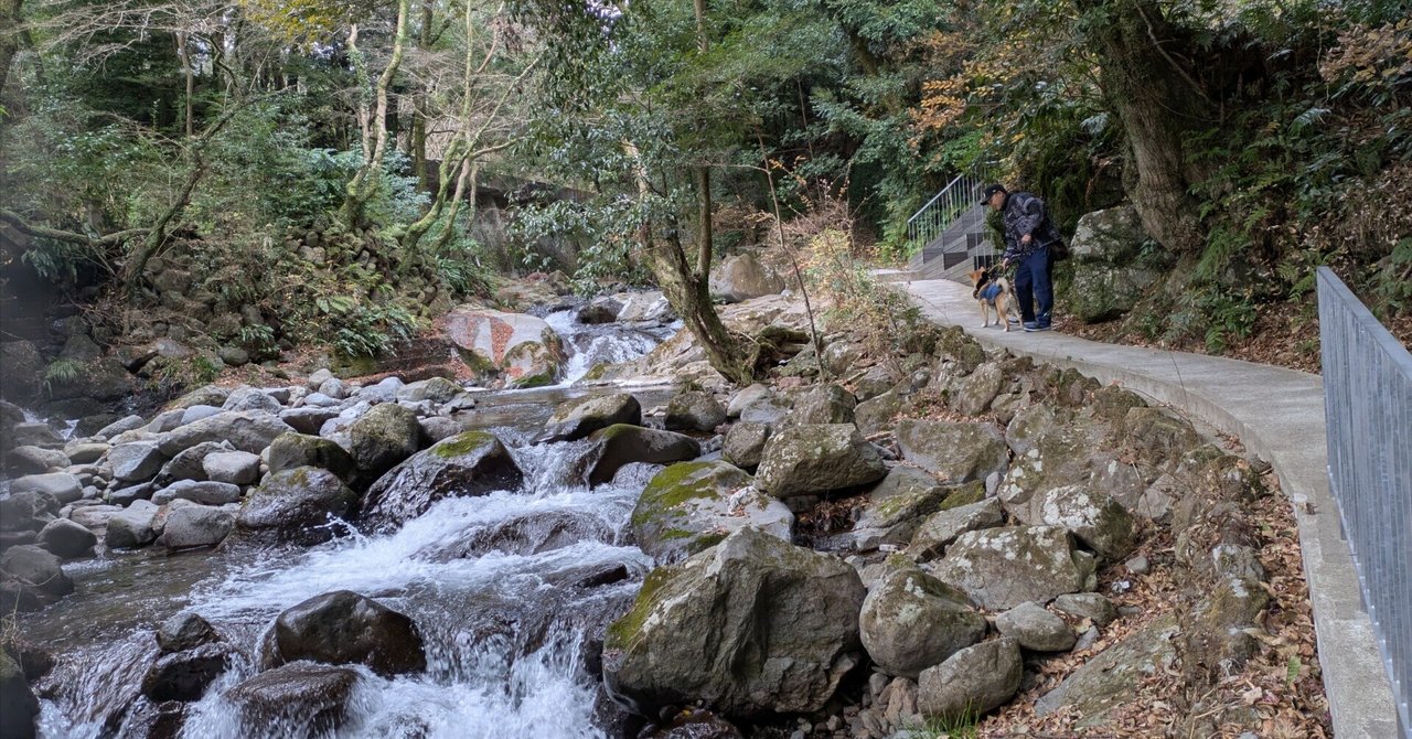 【かなめし旅日記】#01：湯河原編｜2025/1/25｜湊 美寿々｜Misuzu Minato