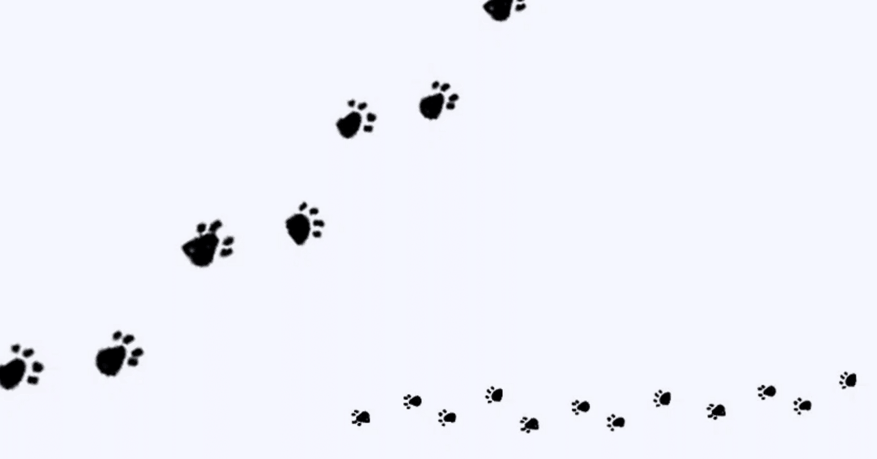 父が飼っていた犬のお見送り|リキへありがとうの気持ちを込めて｜chiyo