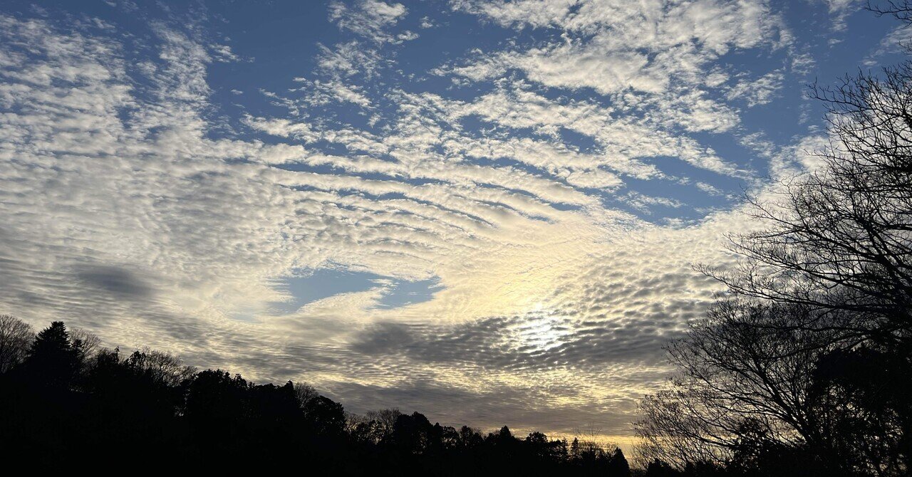 DAY 19 ネコの通り道｜jucon110