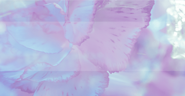 Mimi Yoga Okinawa｜note