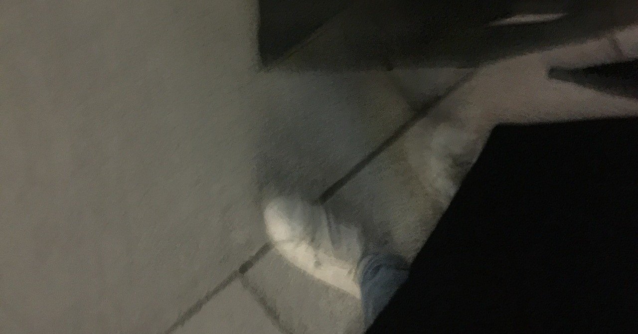 イヴの夜に何を想うか｜shogo｜note