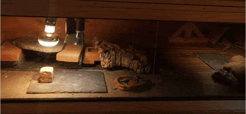 ビギナーさんはじめての冬の飼育管理｜GORO1965