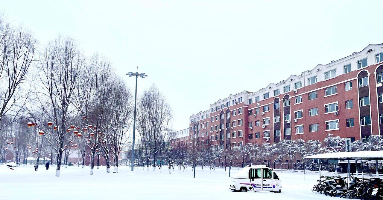 ＃37理学療法士の中国リハビリ記録【雪国のアリガトウ】｜JUNYA MORI