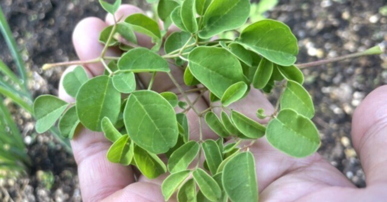 『PC作業者必見！！』｜mopri