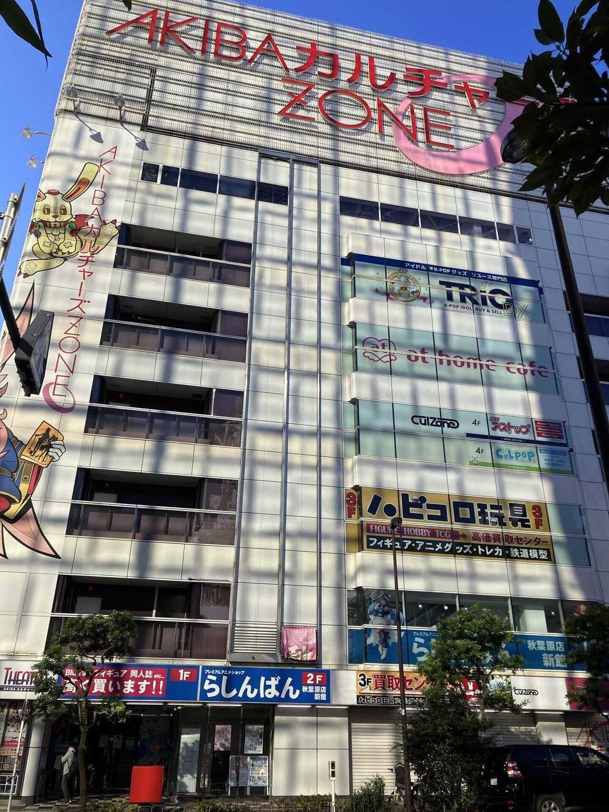 2025/01/26 秋葉原に来たぞ！｜toyotaku3