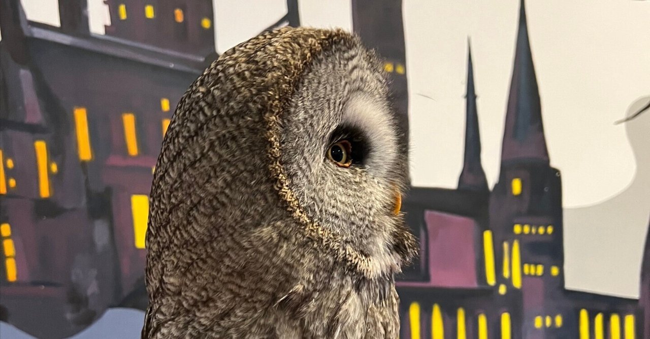 インドネシア赴任の日常 vol.4｜Tom Tally