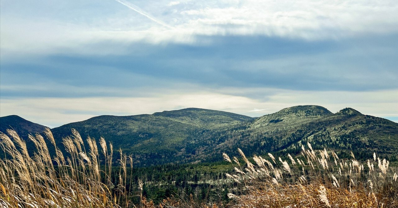【自己紹介】生き急ぐ36歳｜はじめてのnote｜yui