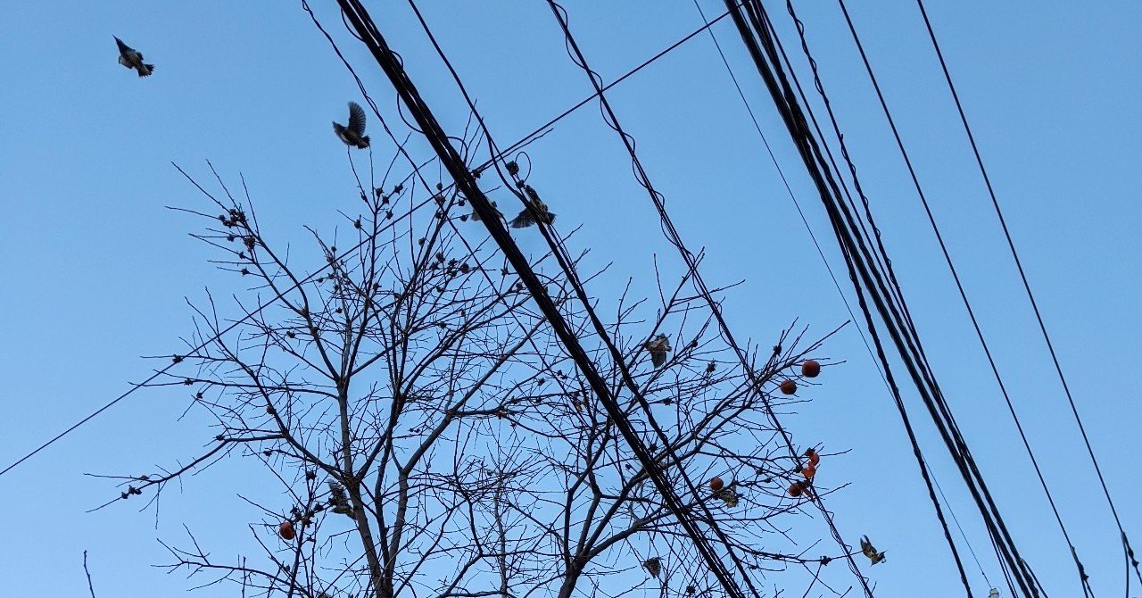 2018 読んだマンガ｜kyokota（きょこた）｜note