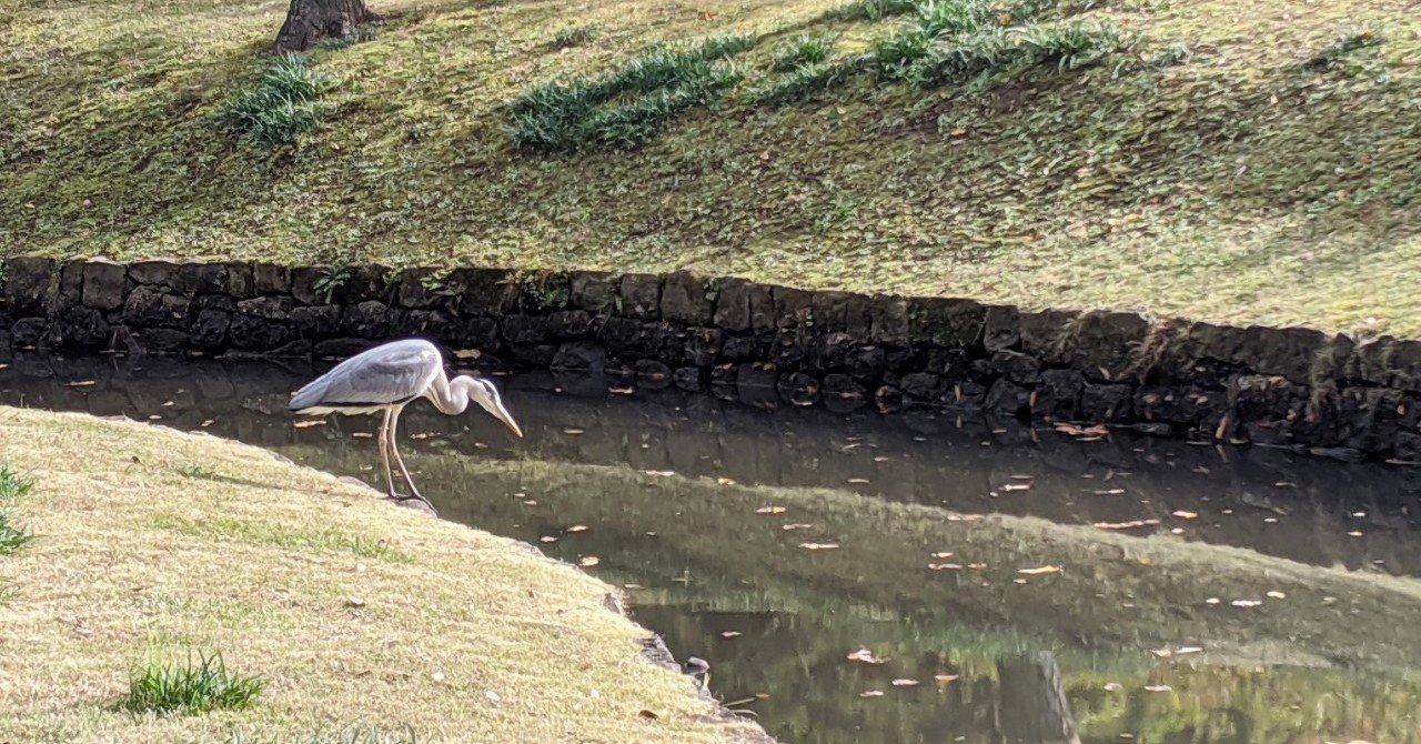 2018 読んだ本｜kyokota（きょこた）
