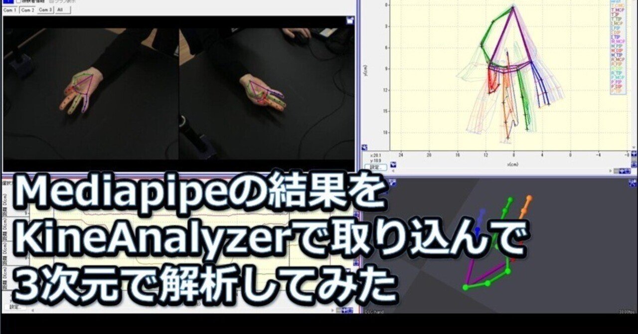MediaPipeの結果をKineAnalyzerに取り込んで3次元化で解析してみた｜キッセイコムテック / 生体信号解析ソリューション