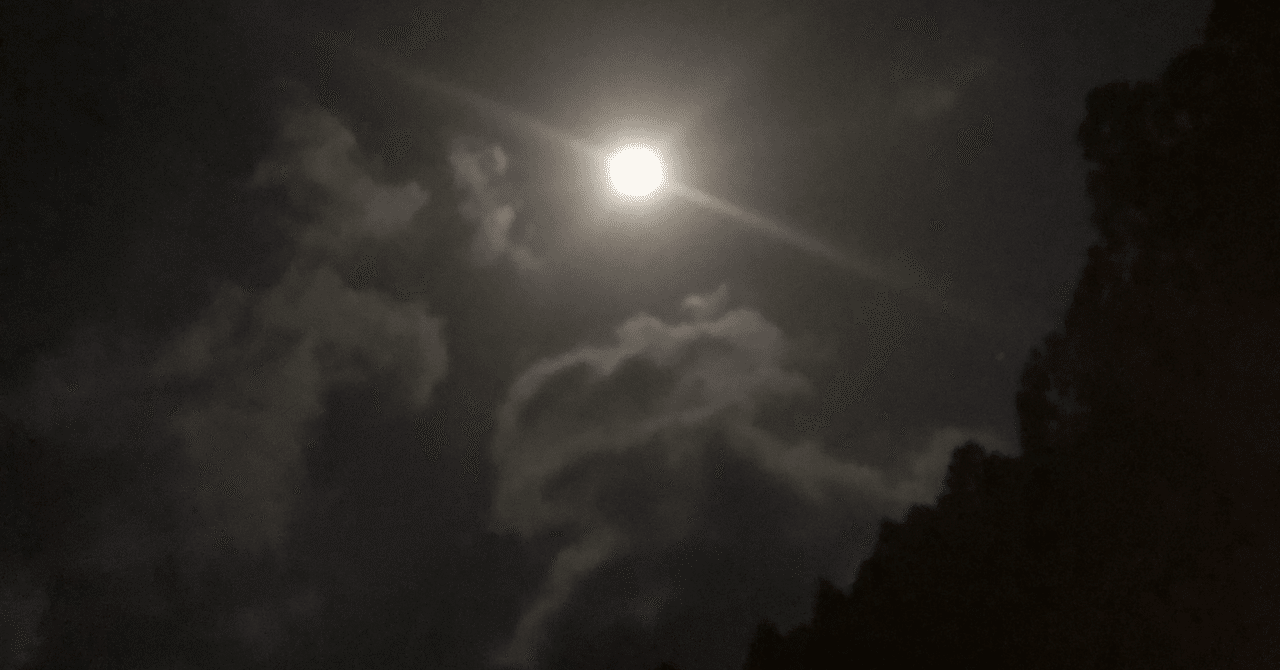 月夜の寝ぐせ【毎週ショートショートnote】｜kao