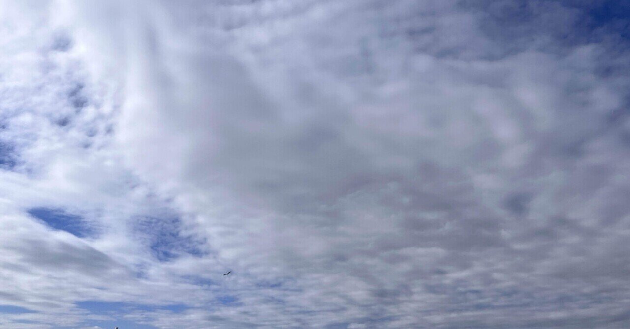 バタバタ｜Yuko Kinoshita