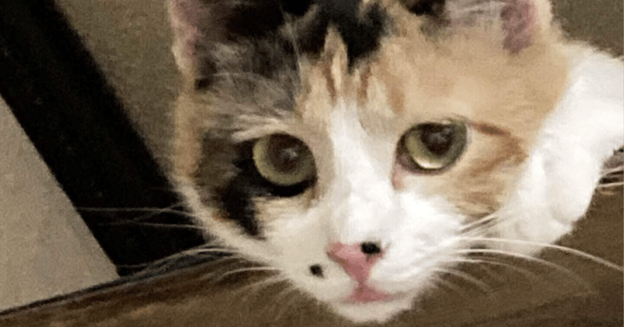 4時44分の不思議な体験｜Moosan