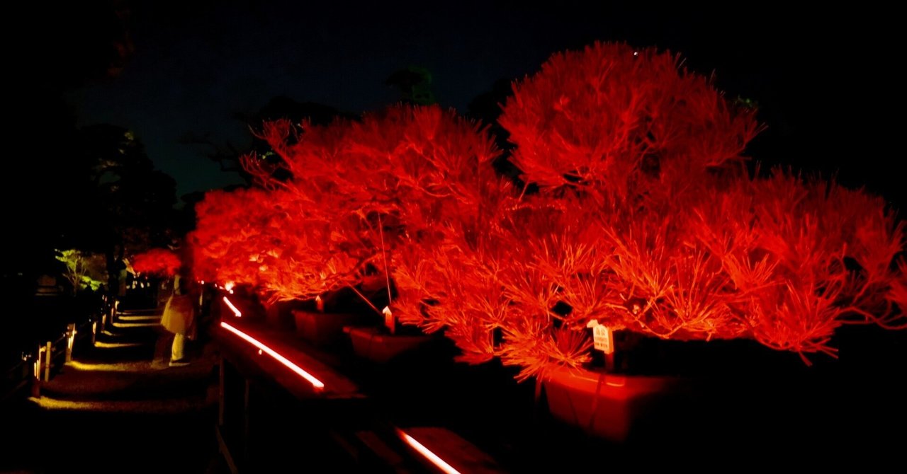 白金台八芳園の紅葉とREDライトアップ｜seya_kinoto