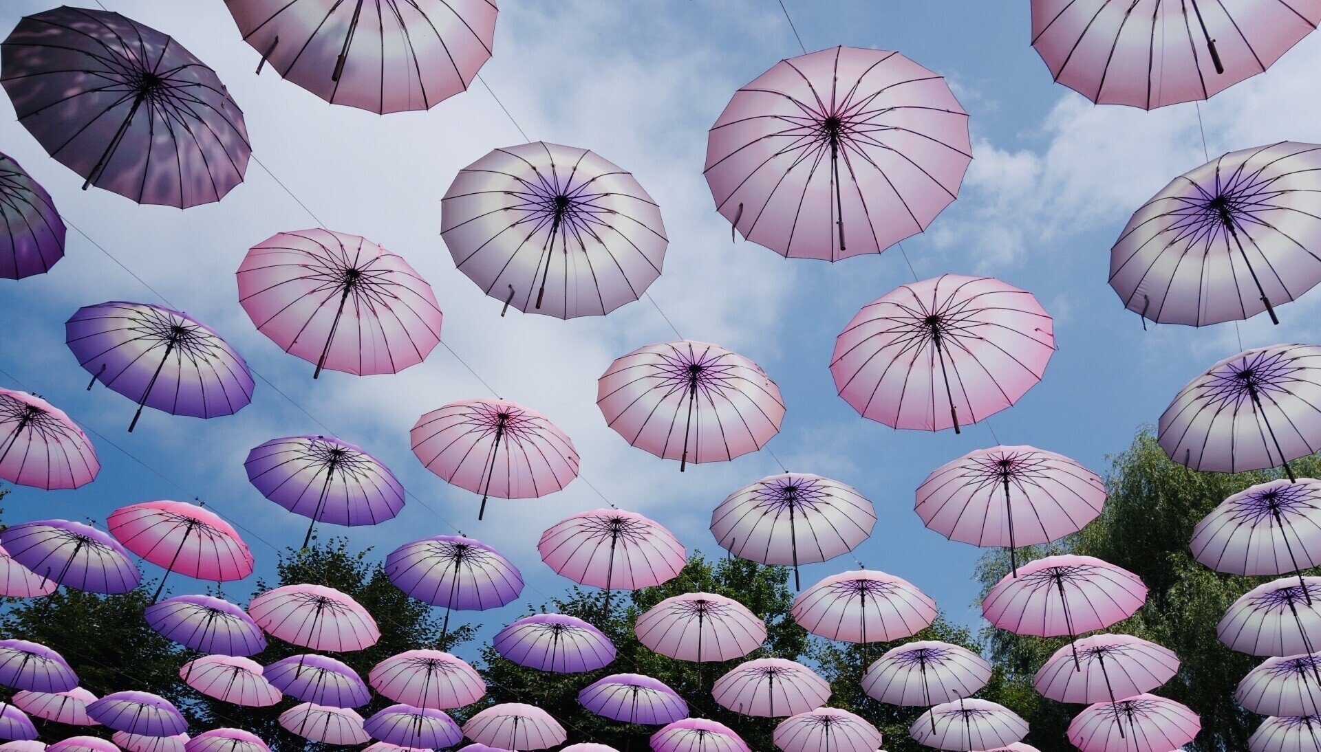 吉田青央 ︎Ao Yoshida｜note