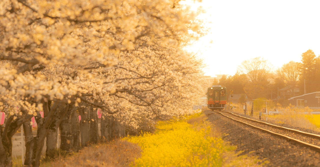 デジタルマーケティングにおけるSEO戦略：検索エンジンでの順位向上に向けた実践的ガイド｜【 School 】 SNS Meister Program