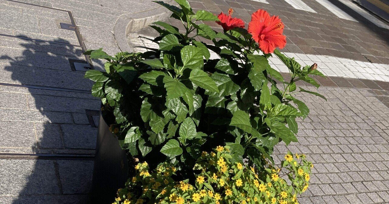 感情に脳を乗っ取られる前に――プルチックの『感情の輪』を探究する旅｜素数量子