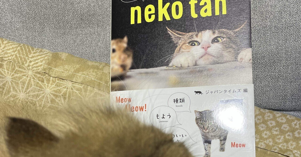 「neko tan」―猫不足を癒やす本｜ふえふきねこ