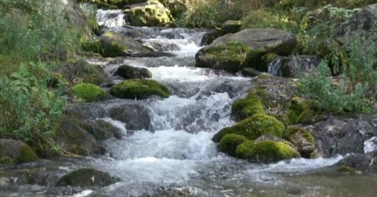 カリフォルニアの水をめぐる争い｜Mippya78 新しい光の波動