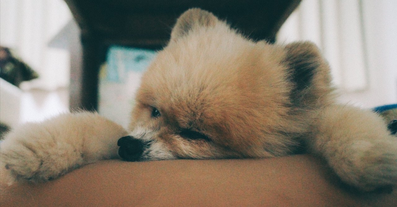 GR III Diary Edition #21｜kaz_photo