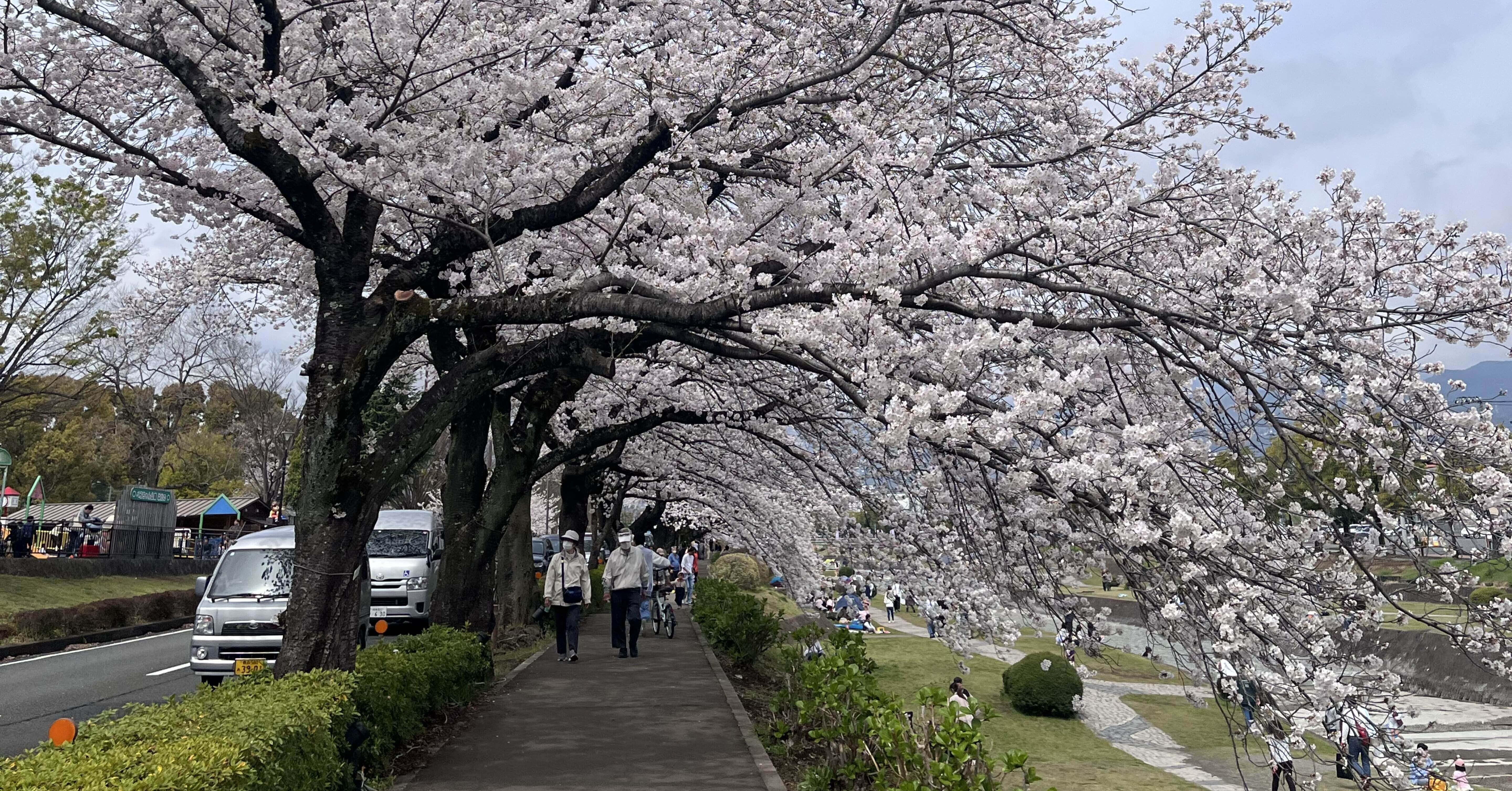 新 裕真/Atarashi Yuma｜note