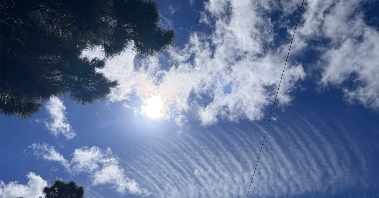 自己紹介｜名知秀斗(Shuto Nachi)