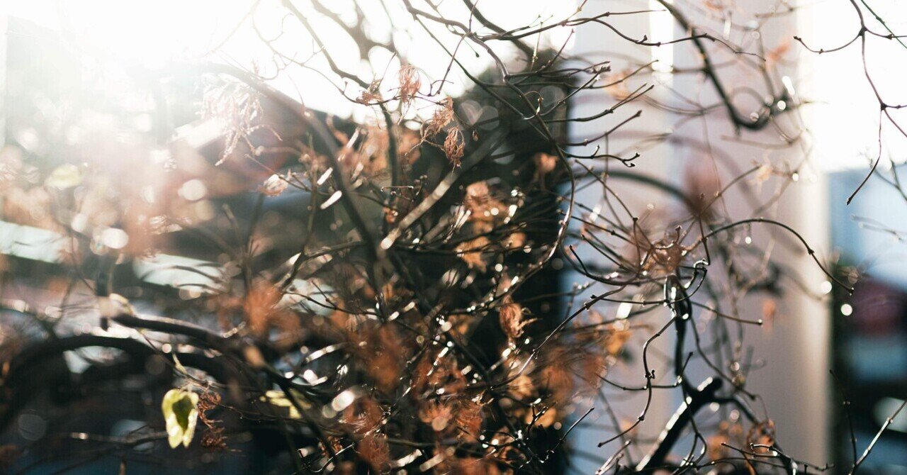 オンライン写真集連載企画「黎明」vol.1｜成瀬健/Takeru Naruse