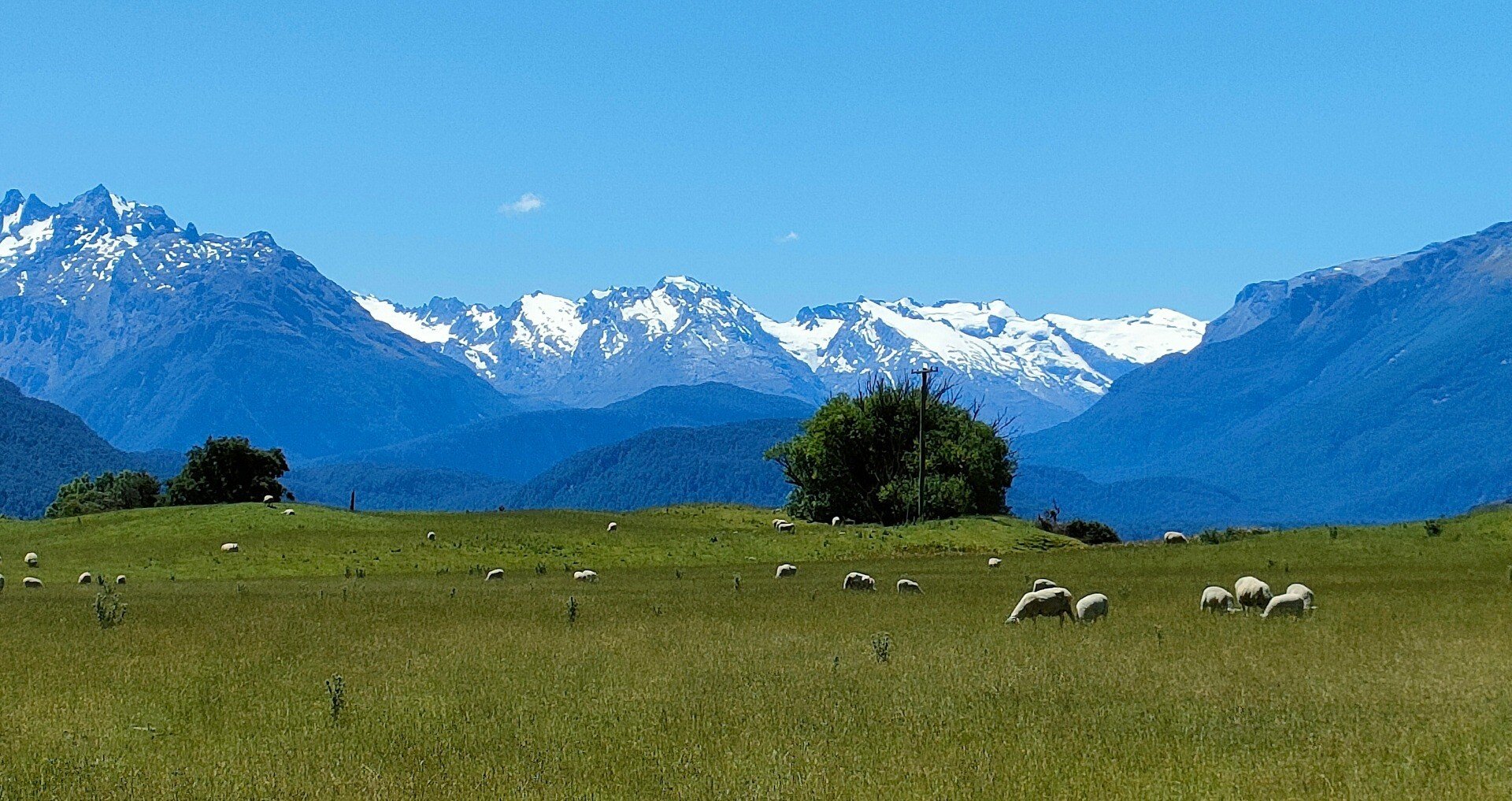 NZ 2W旅行記 へたれ夫婦がトレッキングに挑戦｜kaede｜note