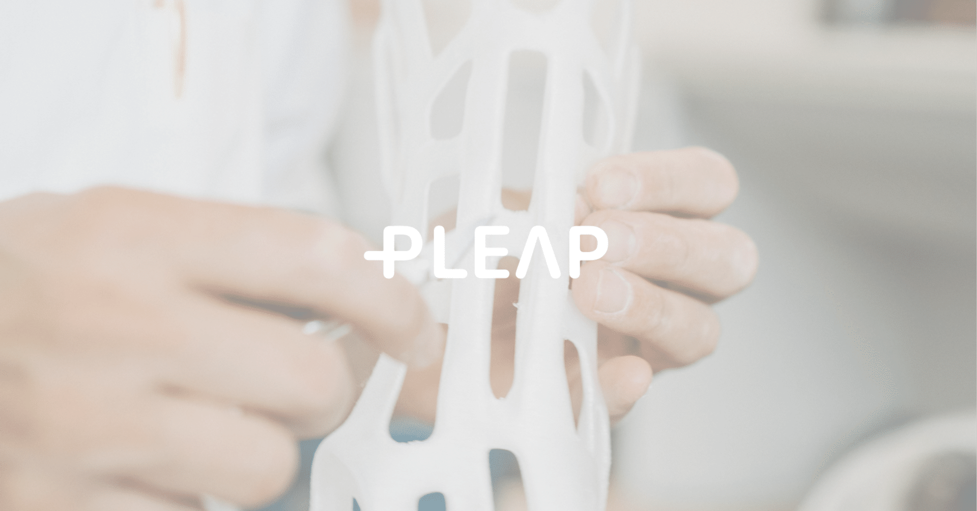 PLEAP INC.｜note