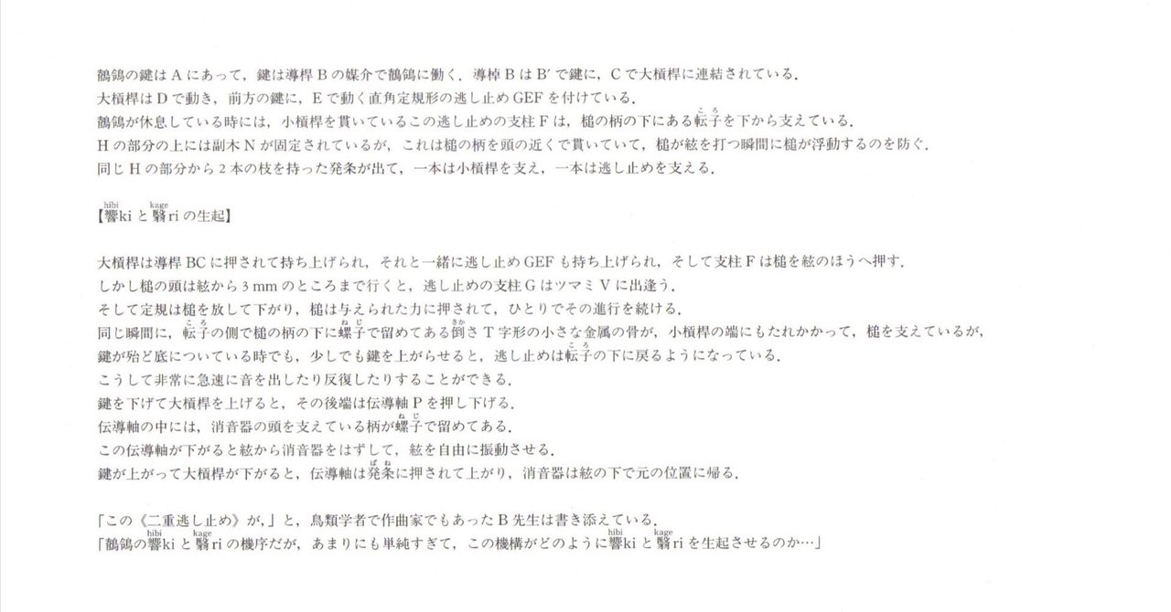 「鶺鴒一册」22-23｜薄井 灌 Kan Usui