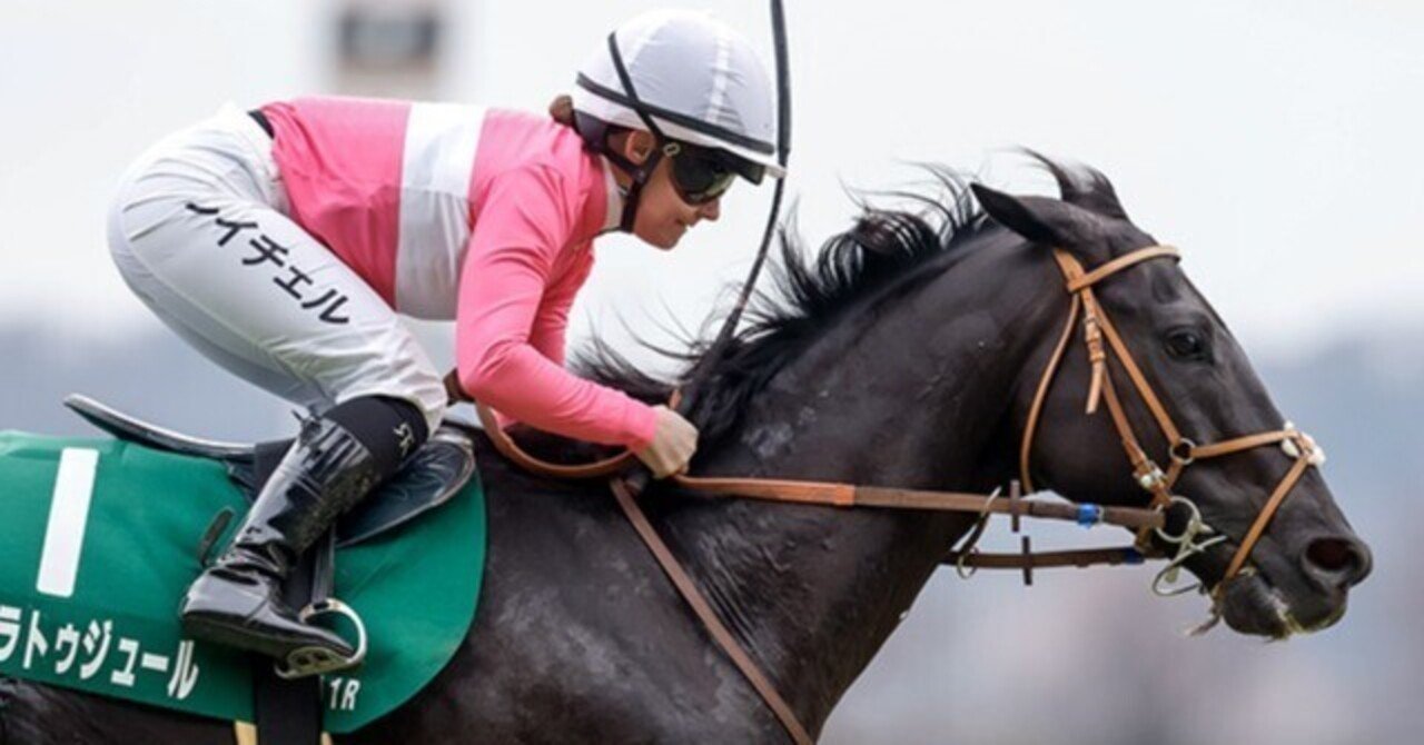 【有料レポート 競馬番組理論】東京新聞杯s 2025｜マヤノタバラの競馬道 ～競馬番組解読～