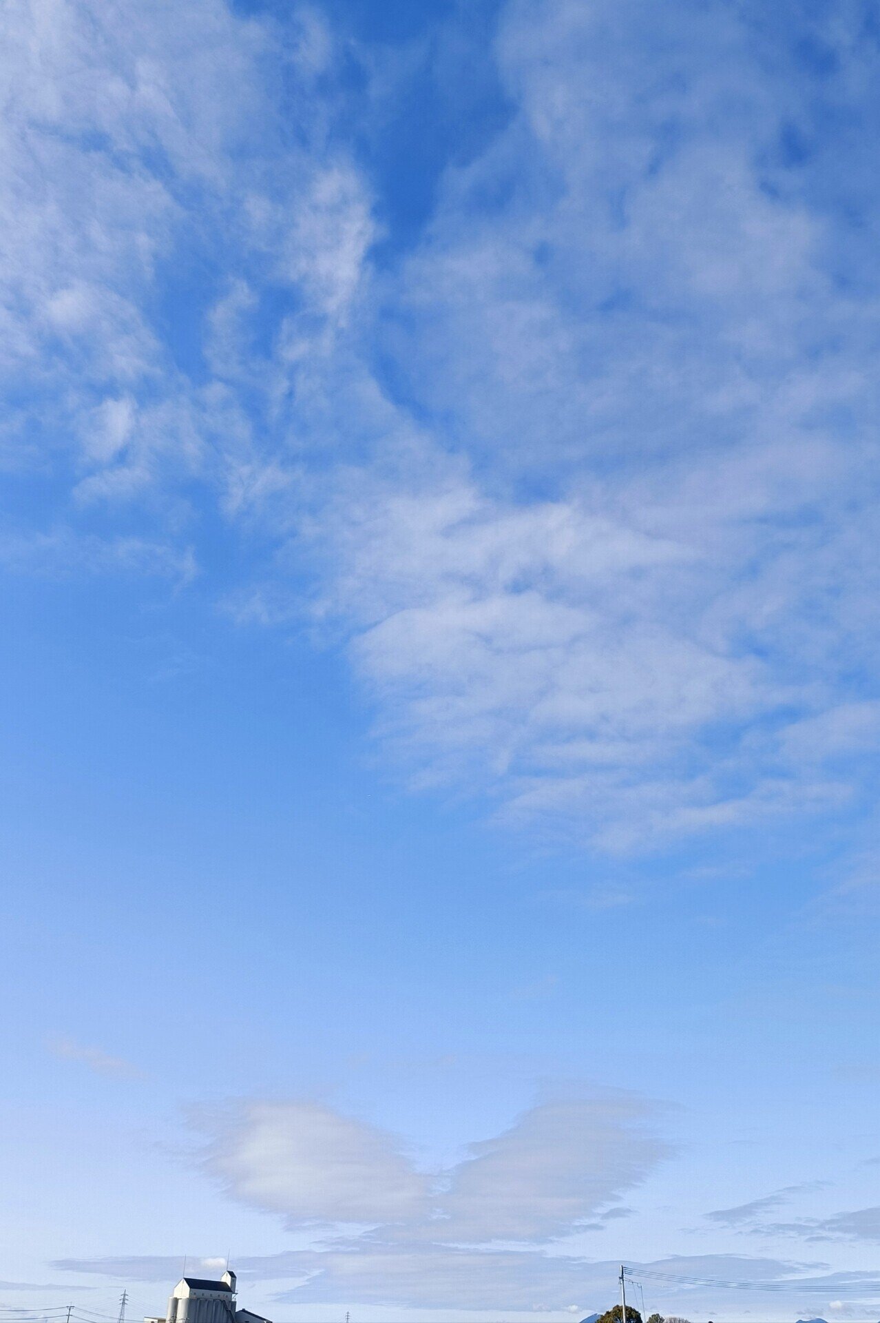 さんぽ道にて｜sora_purecolor